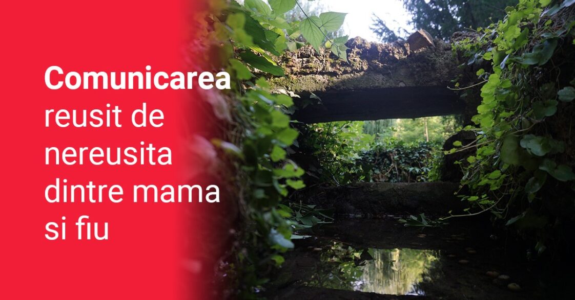 Comunicarea reusit de nereusita dintre mama si fiu - BookLand